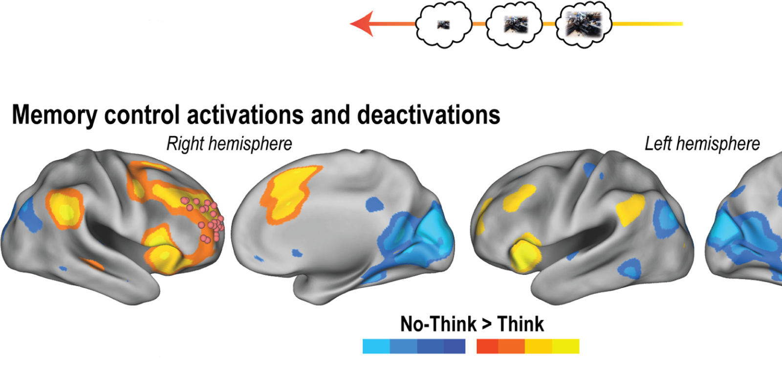 Parallel Regulation of Memory and Emotion Supports the Suppression of ...